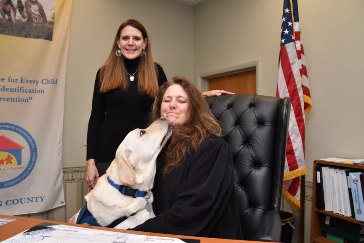 Jedi the court dog: ‘Even before a kid comes to court, it can help ...
